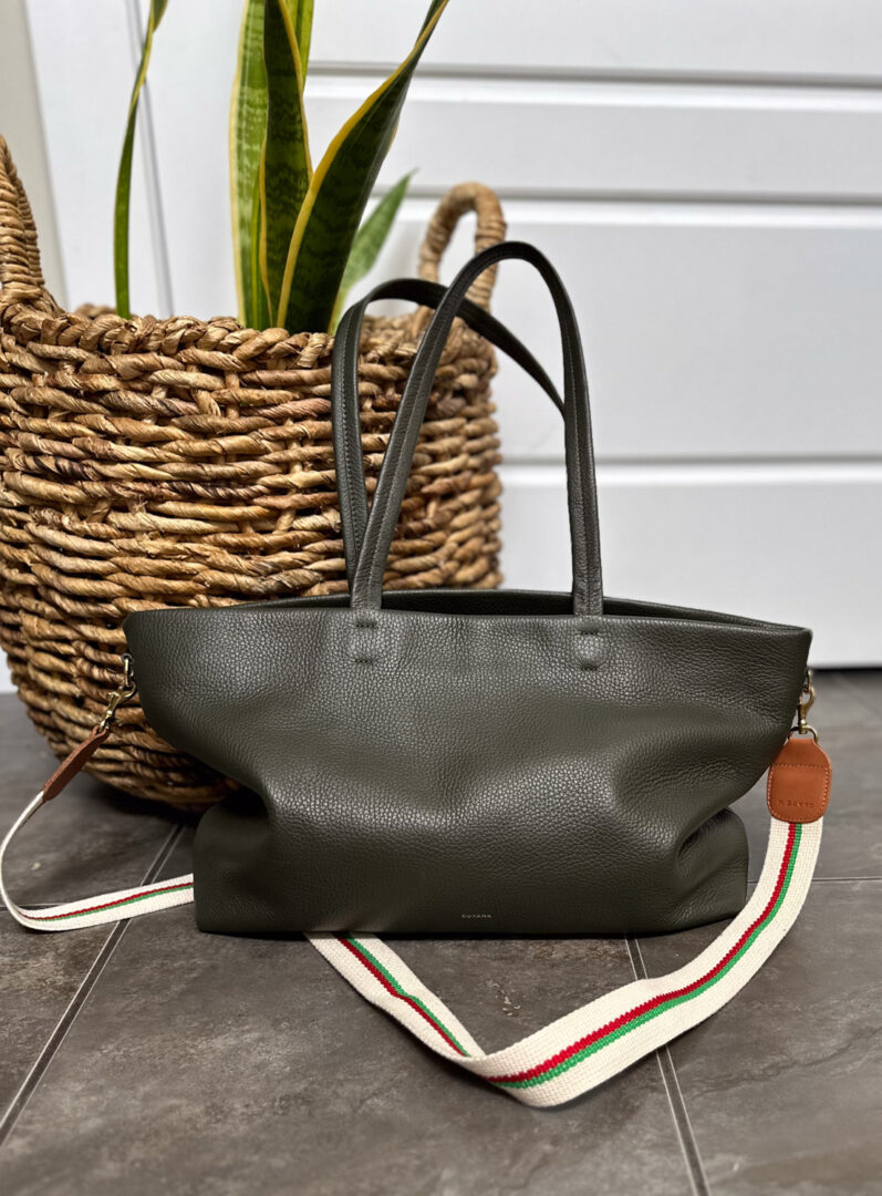 Cuyana Small Easy Zipper Tote Review ⋆ chic everywhere